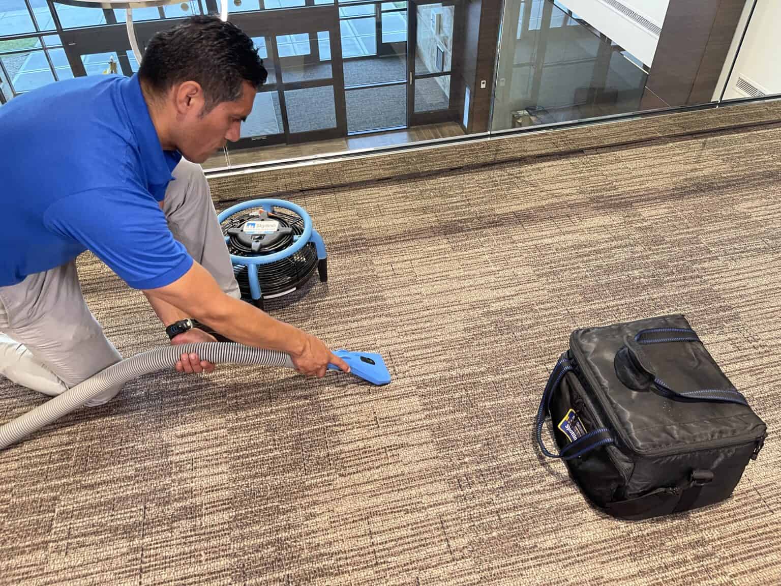 Residential Carpet Spotting | Skyline Services, Inc.